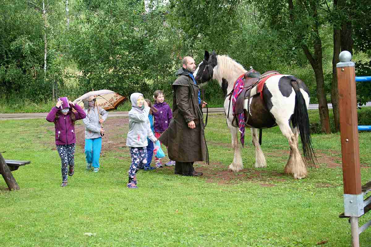 Fotogalerie :: Staronova-naves