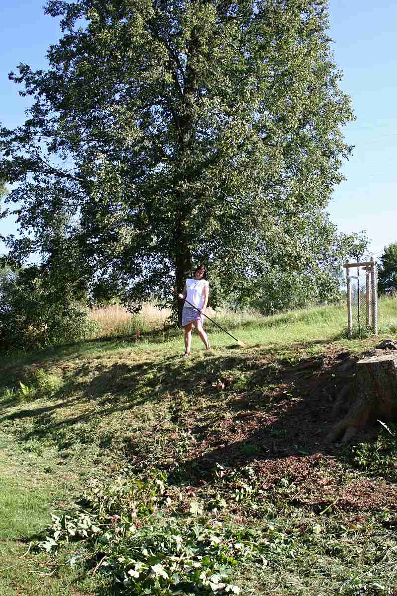 Fotogalerie :: Staronova-naves