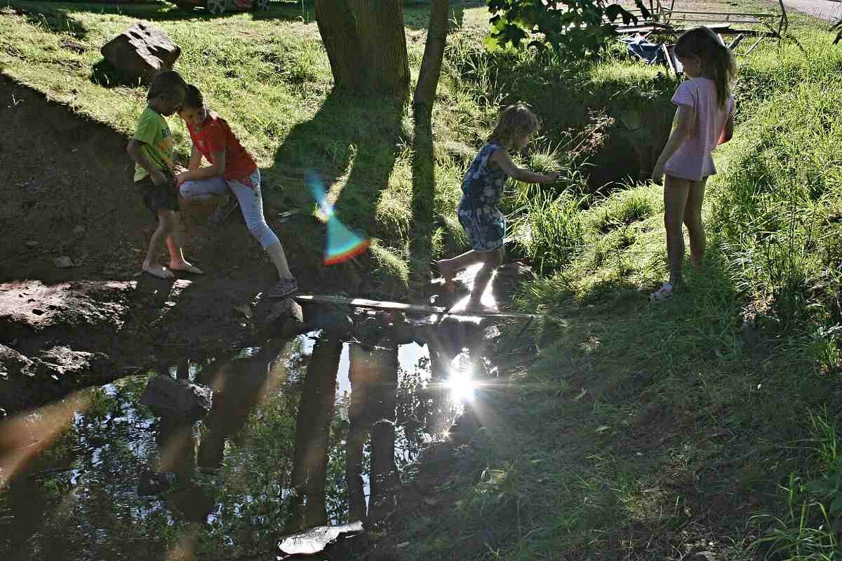 Fotogalerie :: Staronova-naves