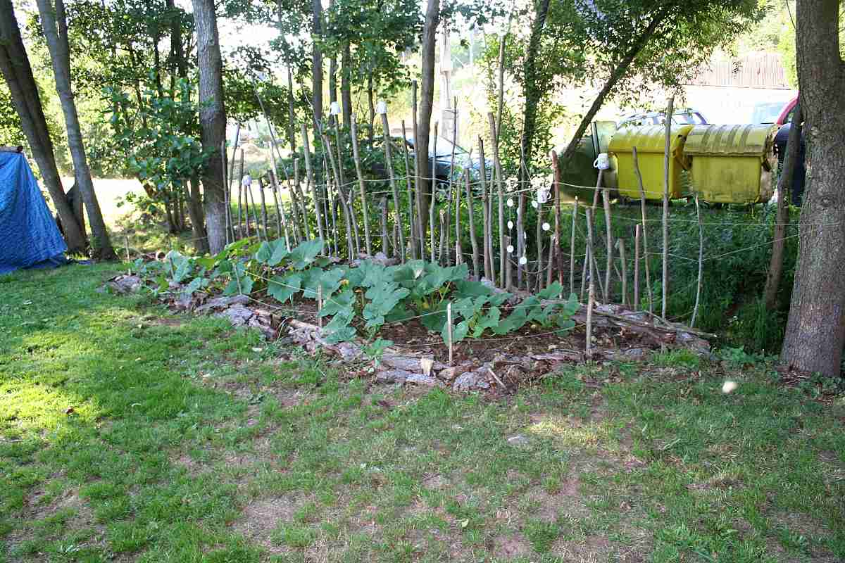 Fotogalerie :: Staronova-naves