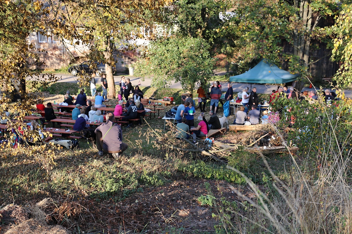 Fotogalerie :: Staronova-naves